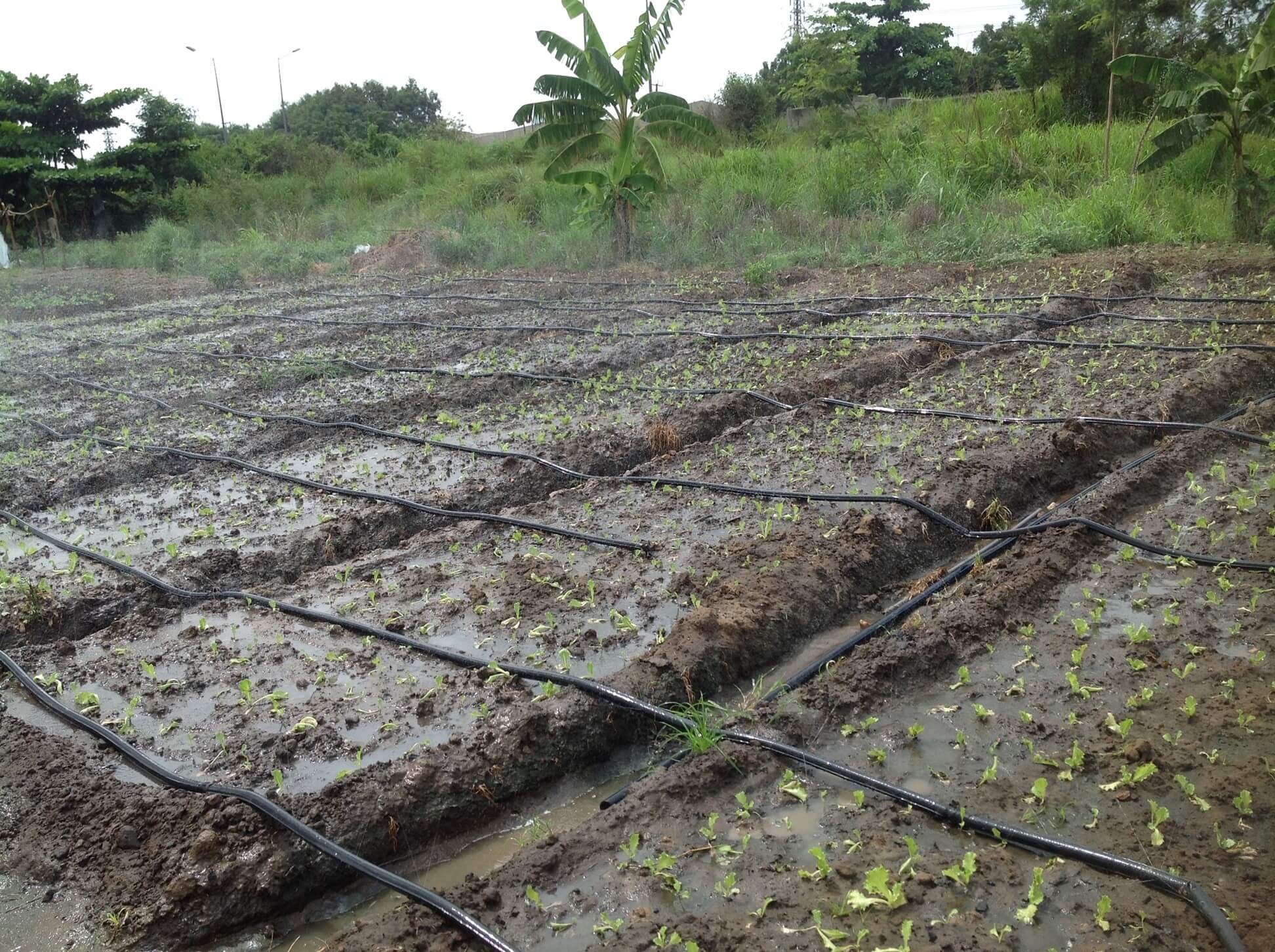 Agrimat | Product | Irrigation equipment